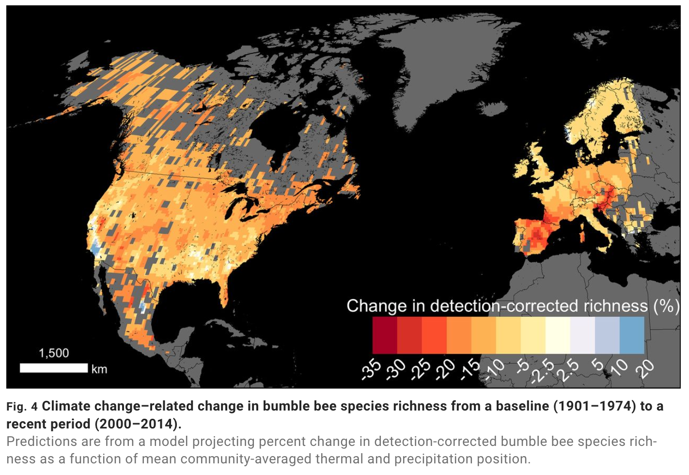 Research — Macroecology & Conservation
